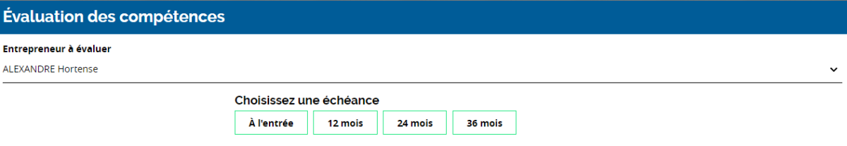 Renseigner une auto-évaluation des compétences